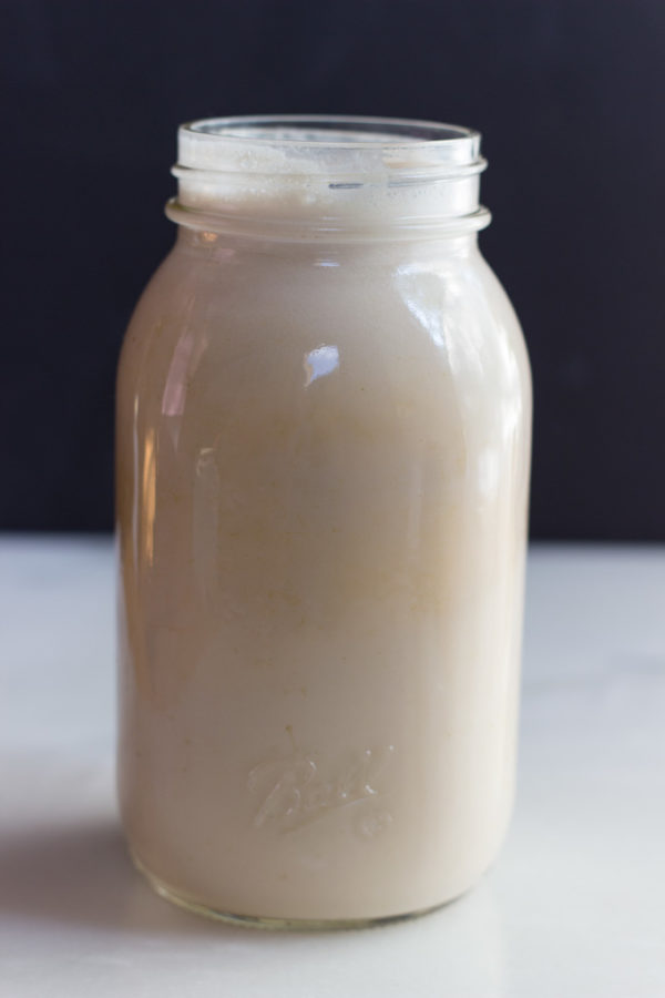 Easy 4 Step Nut or Seed Milk + How to Use Leftover Pulp - Well Rooted